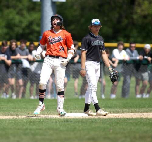 Baseball: Scouting Fox