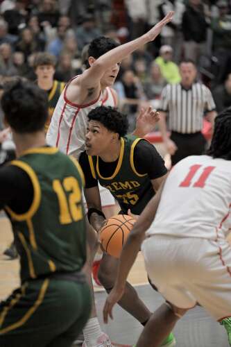 Boys basketball: Balanganayi scores 27, helps Palatine hand Fremd its ...
