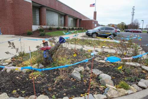 Gardeners question compromise about Naperville post office prairie