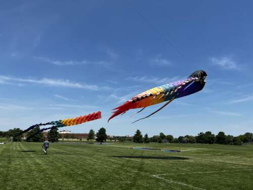 Annual Kite Fly returns to Naperville's Frontier Sports Complex June 4