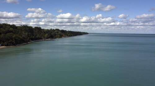 'They misled people,' say suburbs that sue chemicals companies over ...