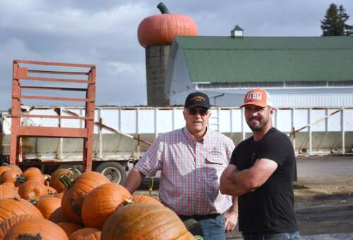 Pumpkin patches provide ultimate fall destinations