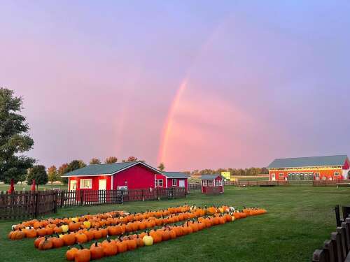 Pumpkin patches provide ultimate fall destinations