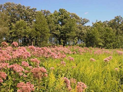 McHenry County Conservation District adds 49 acres in 'high-quality' area