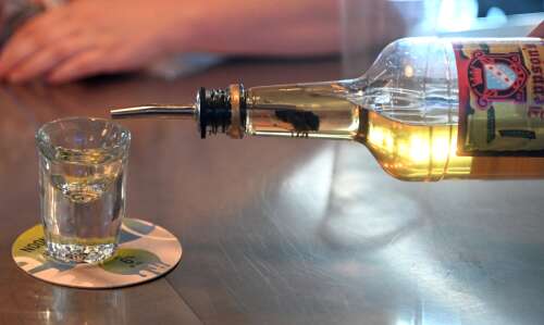 ‘A little less nasty’: Lombard brewpub serving up cicada-infused Malört ...