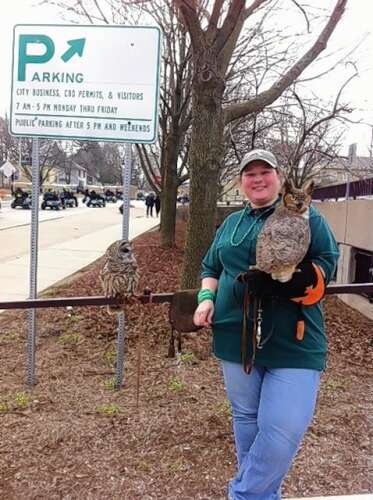 Raptor handlers needed