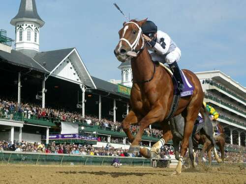 Jim O'Donnell: Frank Calabrese brought grand zest to last golden run of ...