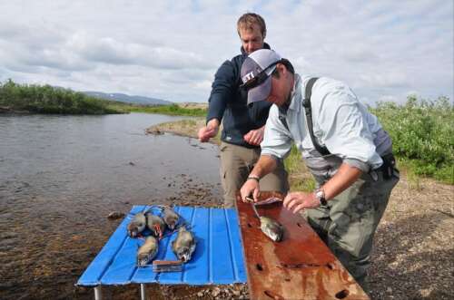 National Geographic grows mission with chef fellow