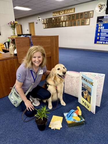 Therapy dog Kayla celebrates 100th visit
