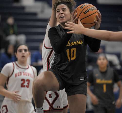 Girls basketball: DuPage County All-Area captain Mporokoso finishes ...