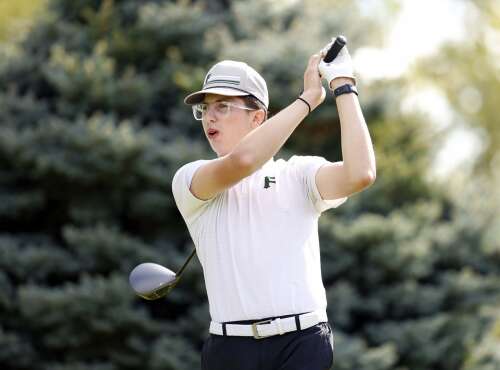 Boys golf: Fremd’s Tee drains long putt to win playoff, sectional ...