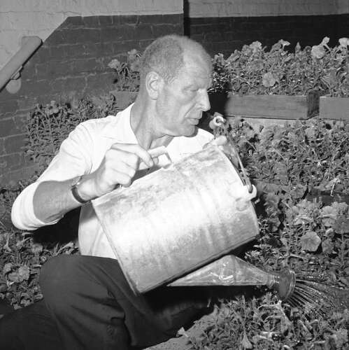 How Bill Veeck changed baseball