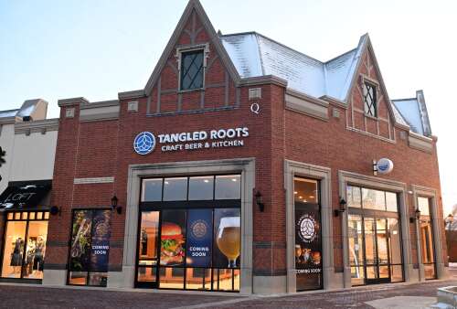 Tangled Roots now open at Arboretum of South Barrington