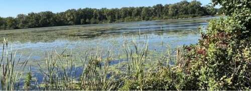 'Definitely a sense of excitement': Libertyville High students' Butler ...