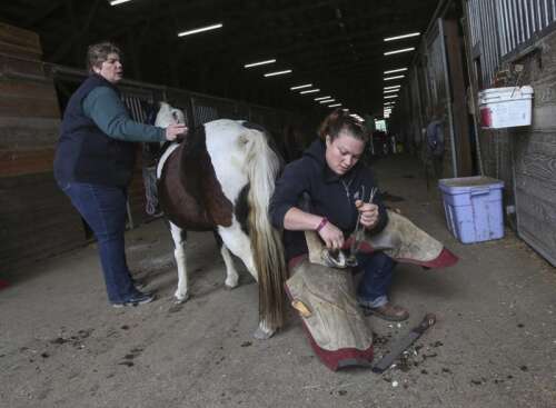 Meet the female farrier who started at 16