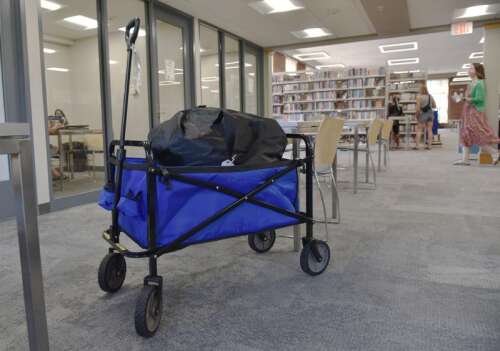 To reduce consumption and share resources, libraries lend more than ...