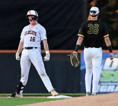 Baseball: Five area teams remain alive in quest for state championship