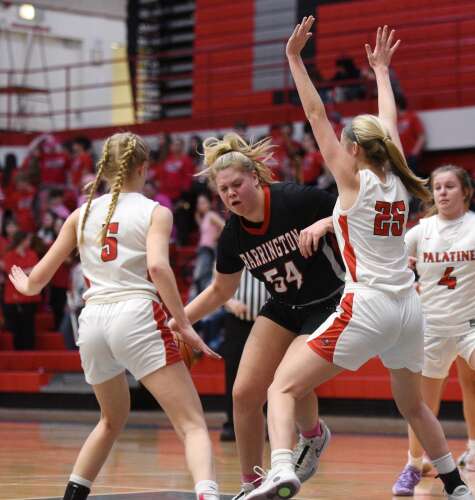 Girls basketball / Top 20