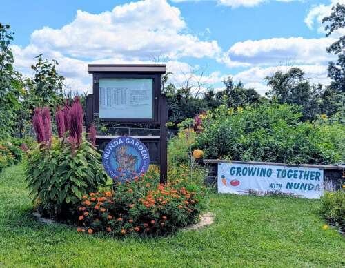 MCC, Master Gardeners to hold annual garden walk in McHenry County