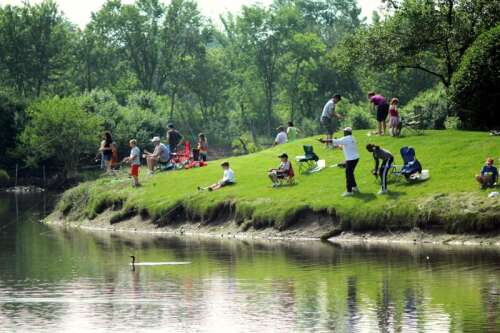 Things to do June 19-25: Libertyville Days, Taste of Des Plaines ...