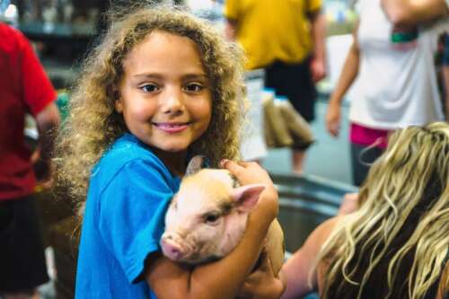 5 things to do in the suburbs this weekend