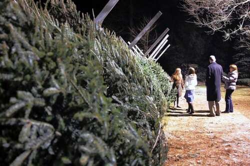 Buy a tree, see Santa at Cosley Zoo's Festival of Lights, opening Nov. 25
