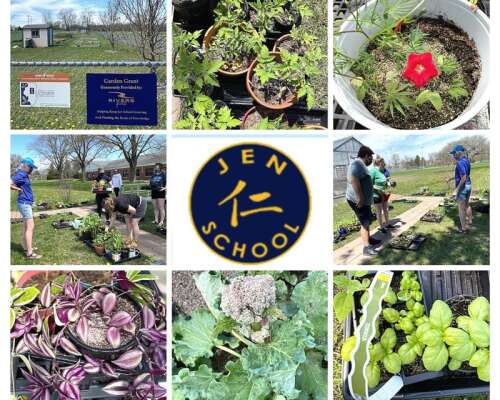 All is not lost for Maryville's Jen School garden due to pandemic