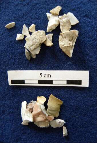 Cook County poor farm to be preserved