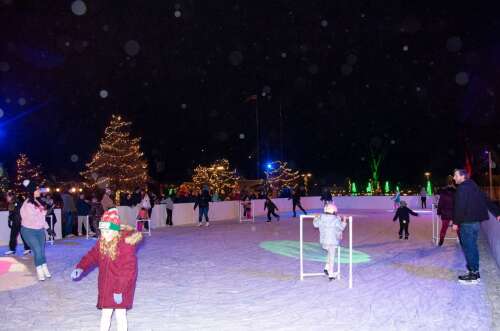 Things to do Jan. 9-15: Free days at Shedd, Women’s Jazz Fest, Chicago ...