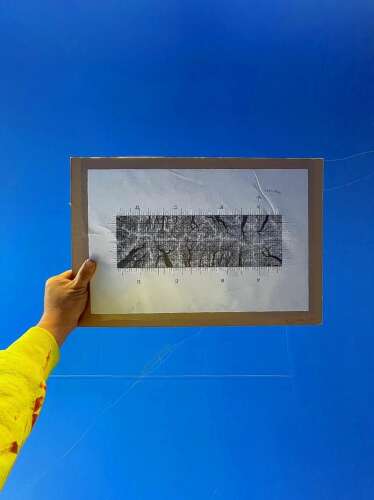 'The Grove' mural opens in the Glen Ellyn pedestrian underpass