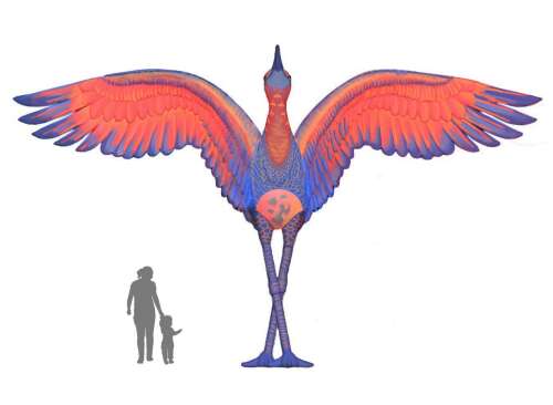 ‘Vivid creatures’ will be taking over Morton Aboretum next year