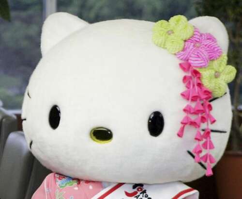 Hello Ambassador Kitty