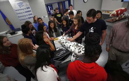 State's first high school veterinary science program to get bigger this ...