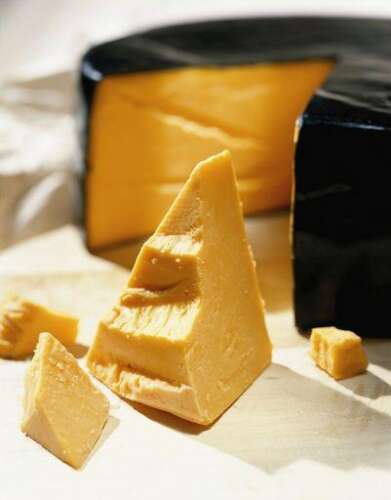 Explore the world of American cheddar