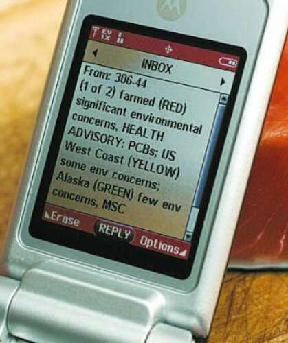 Texting service identifies eco-friendly fish