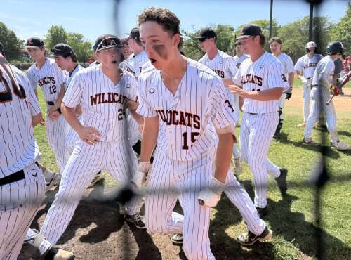 Baseball: Libertyville, Warren advance to sectional final