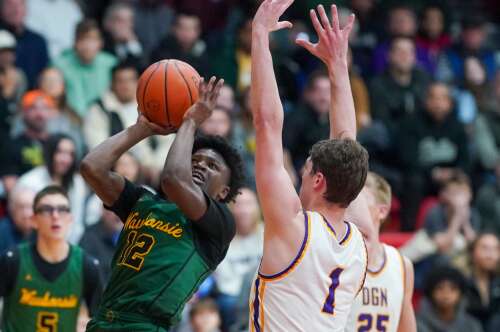 DuPage County boys basketball outlook