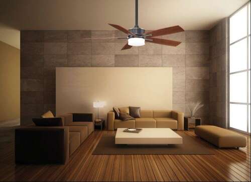 Industry Insider: Fan C Fans