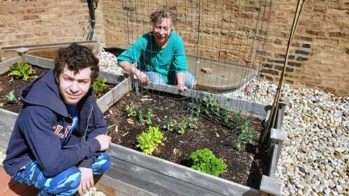 Lombard Jewish congregants plant victory gardens during pandemic