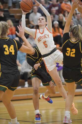 Cook County All-Area Girls Basketball Co-Captains: Katy Eidle and ...