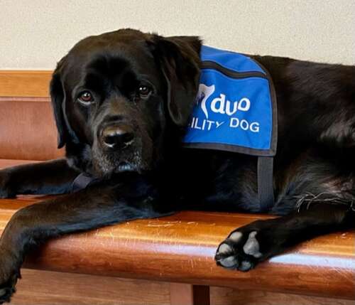 Why Glen Ellyn police chief says Jimmy Buffett saved his life