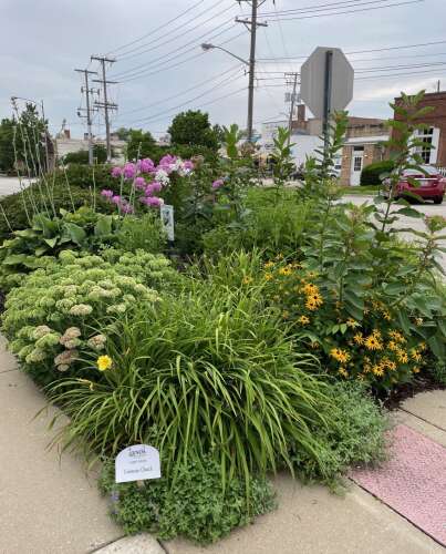 ‘It takes an army of volunteers’: How Geneva Beautification Committee ...