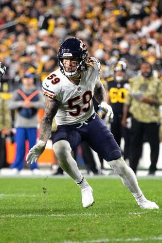 Bears were impressed by Marsh, even if penalty was a damper