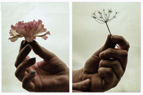 Third place, Visual Art - 'Life Versus Death'