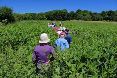 Explore history, farming and nature this July at Garfield Farm Museum