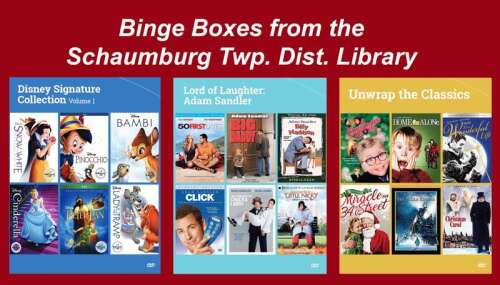 Binge Boxes Available at Schaumburg Library