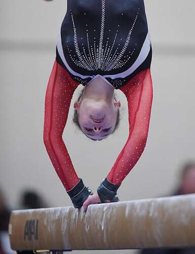 Girls gymnastics: Scouting Cook and Lake County