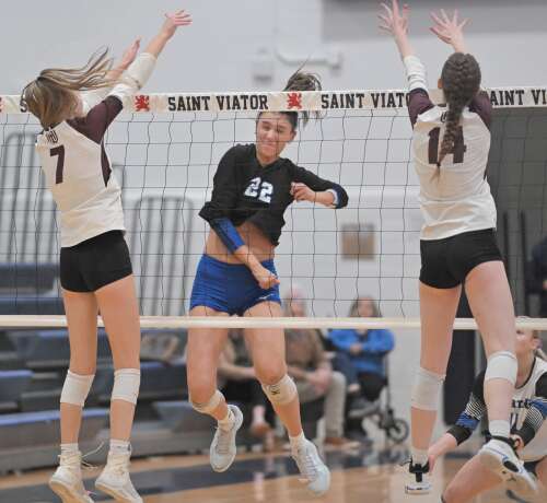 Girls volleyball: St. Francis surges late to win hard-fought sectional ...