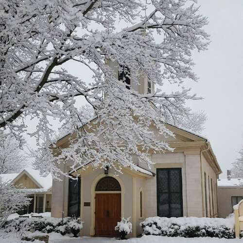 Treecycle community partnership keeps unsold Christmas trees from landfill