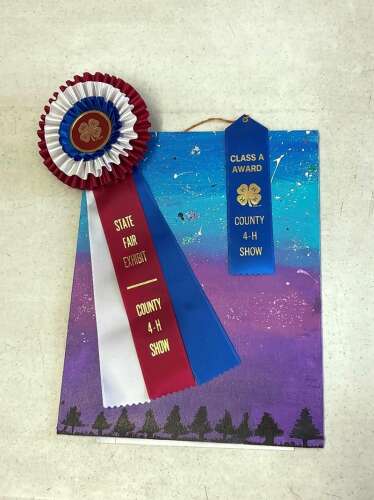 Gallatin County State Fair winners